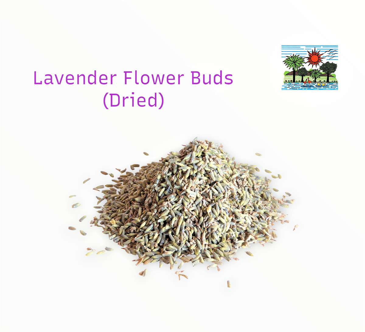 Lavender Flower Buds – Mystic Essence